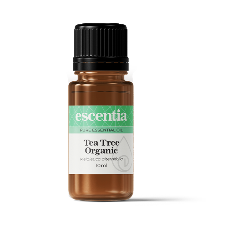 tea tree organic essential oil | 10ml | Escentia Products
