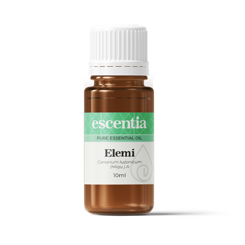 elemi essential oil | 10ml | Escentia Products