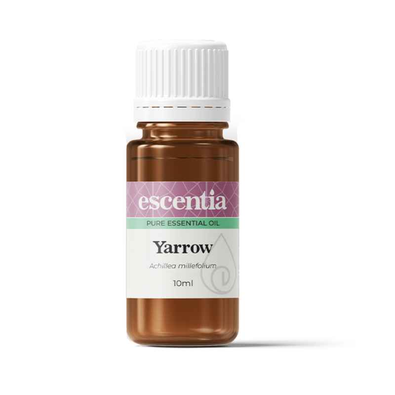 yarrow essential oil | 10ml | Escentia Products
