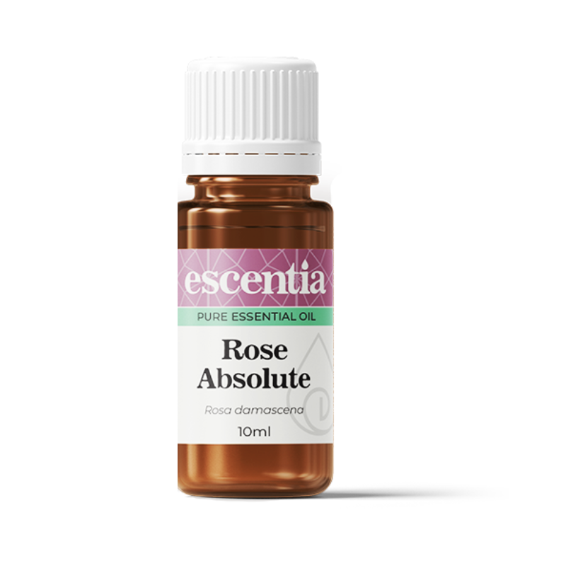 rose absolute essential oil | 10ml | Escentia Products