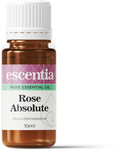 rose absolute essential oil | 10ml | Escentia Products