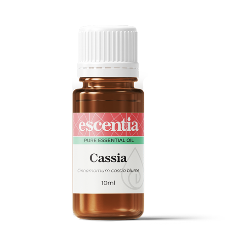 cassia essential oil | 10ml | Escentia Products